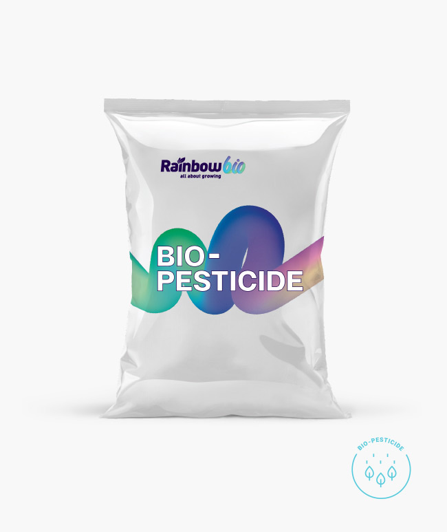 Crop Protection Solutions | Rainbow Agro