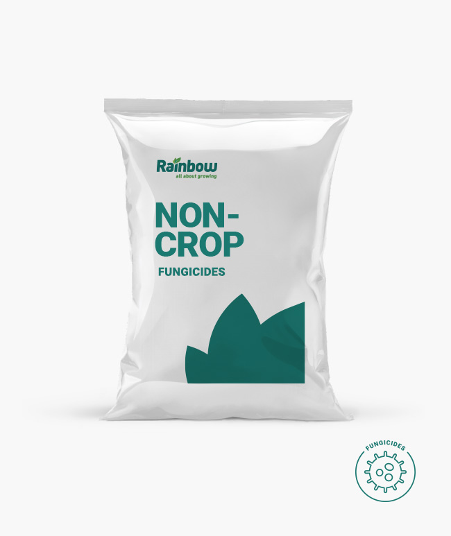 Crop Protection Solutions | Rainbow Agro